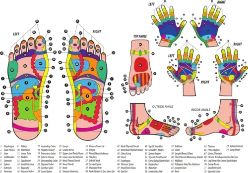 What is Thai Foot Massage? Learn All About This Ancient Massage ...